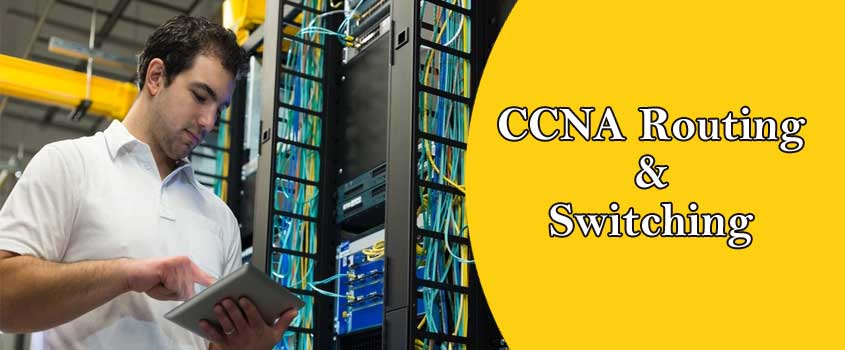 CCNA R&S Guide for Exam & Certification Prep | Acme Collins School